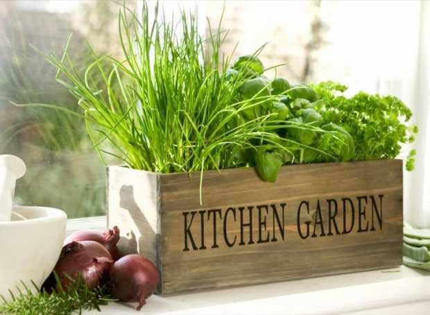 Four Veggies For The Kitchen Garden | My Decorative
