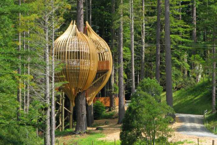 Yellow Treehouse Restaurant Of New Zealand | My Decorative