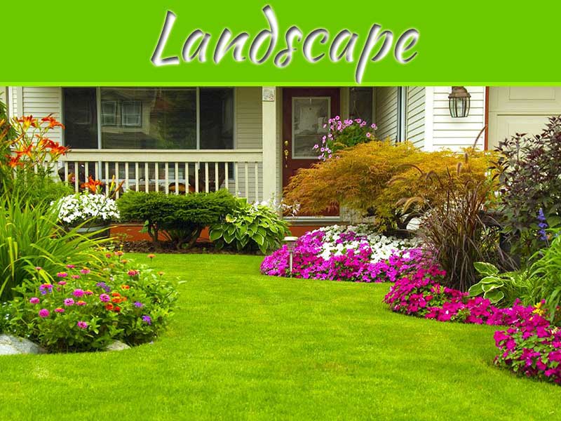 Landscape Magic: Spring Tips For An Immaculate Lawn And Garden | My ...