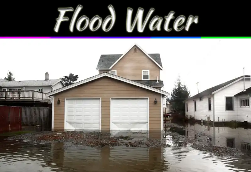 Flood Water Dangers: Health Risks And Safety Tips You Should Know | My ...