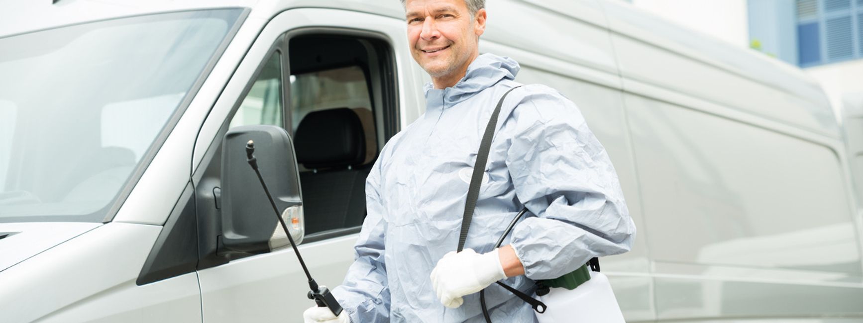 Pest Control | My Decorative