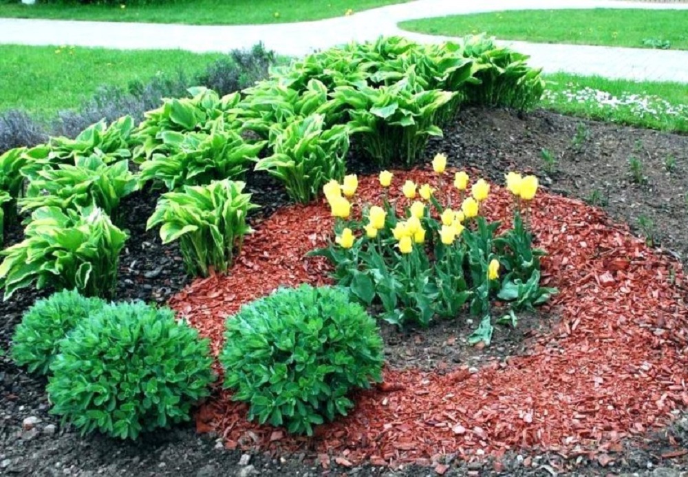 Top 8 Types Of Mulch Varieties For Garden | My Decorative
