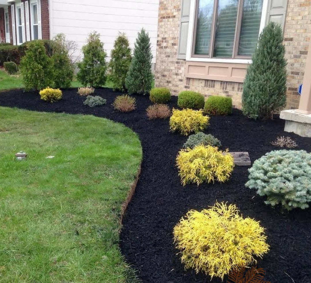 Top 8 Types Of Mulch Varieties For Garden | My Decorative