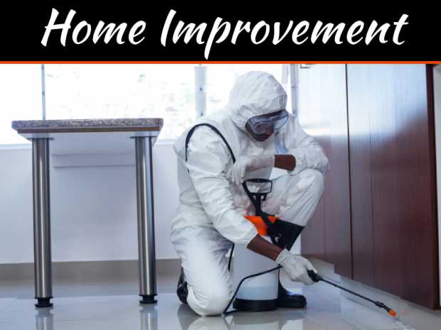 pest control | My Decorative