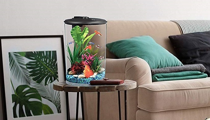 14 Easy Hacks To Decorate Your Student Dorm Room | My Decorative