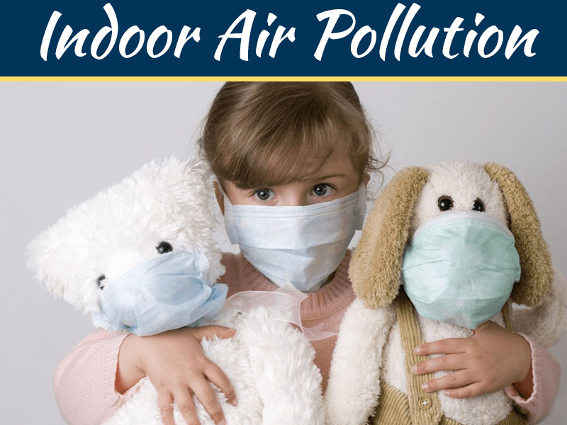 5 Simple Ways To Limit Indoor Air Pollution | My Decorative