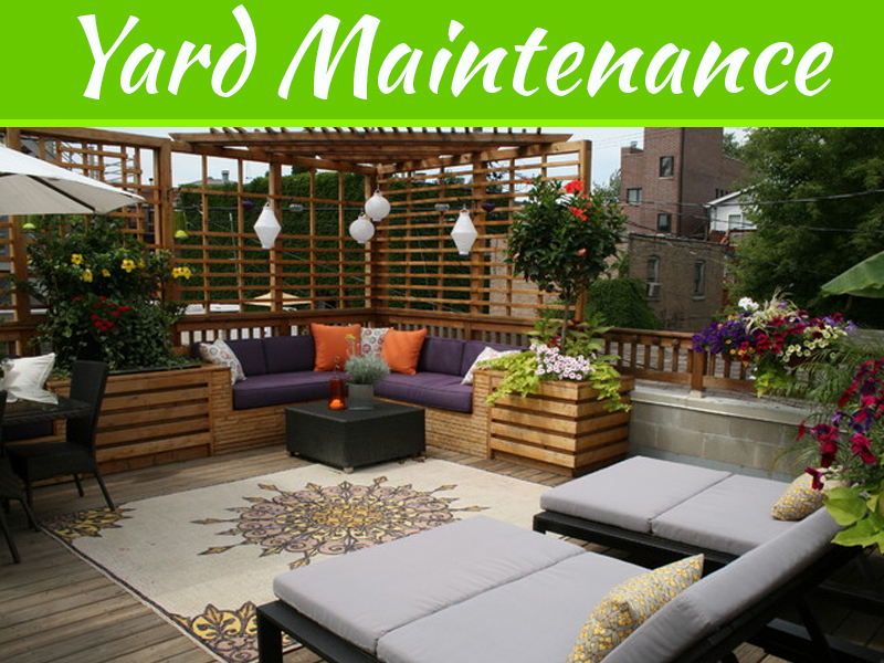 4 Ways To Add Hardscaping For Lower Yard Maintenance | My Decorative