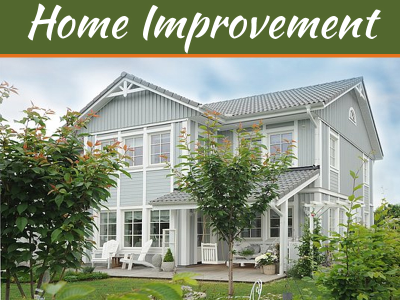 Common House Issues And How To Deal With Them | My Decorative