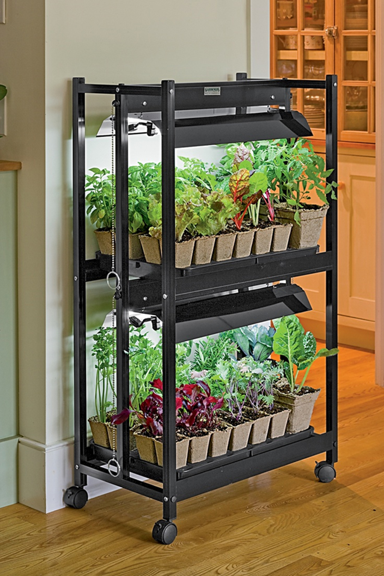 Indoor Vegetable Garden How To DIY My Decorative