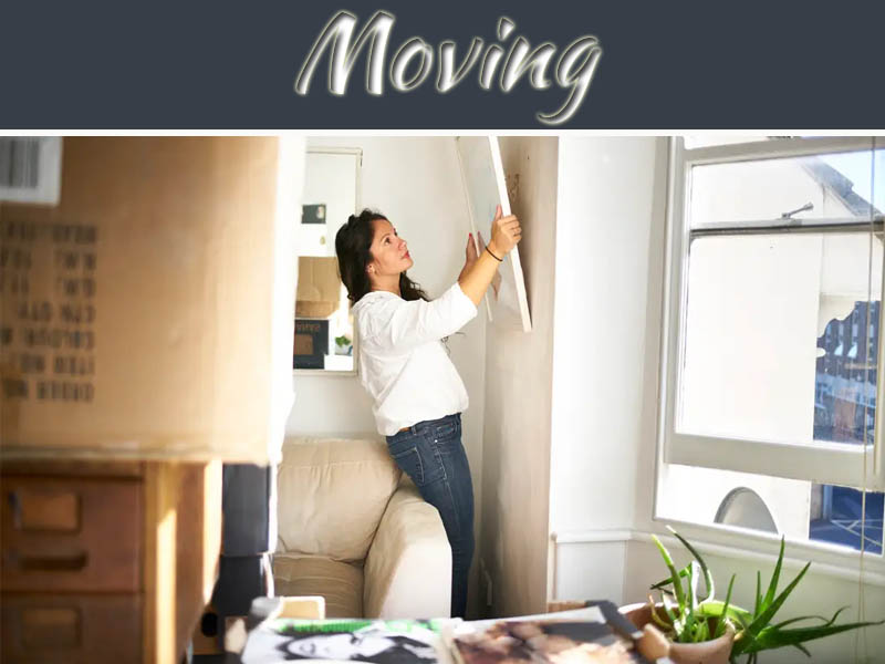 Moving Insurance For Your Home Décor Items | My Decorative