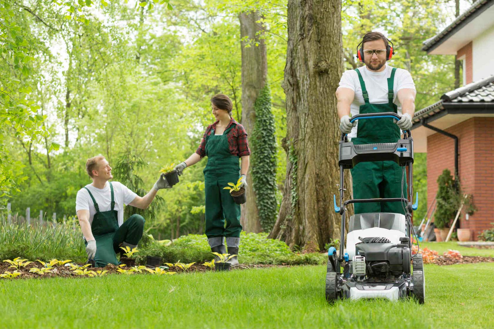 How Finding The Right Lawn Care Company Can Help You How Finding The Right Lawn Care Company Can Help You